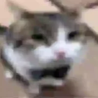 West Coast Rework 1.0 - BeamNG.drive