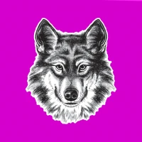Profile of Limitless Pain - ModLand.net