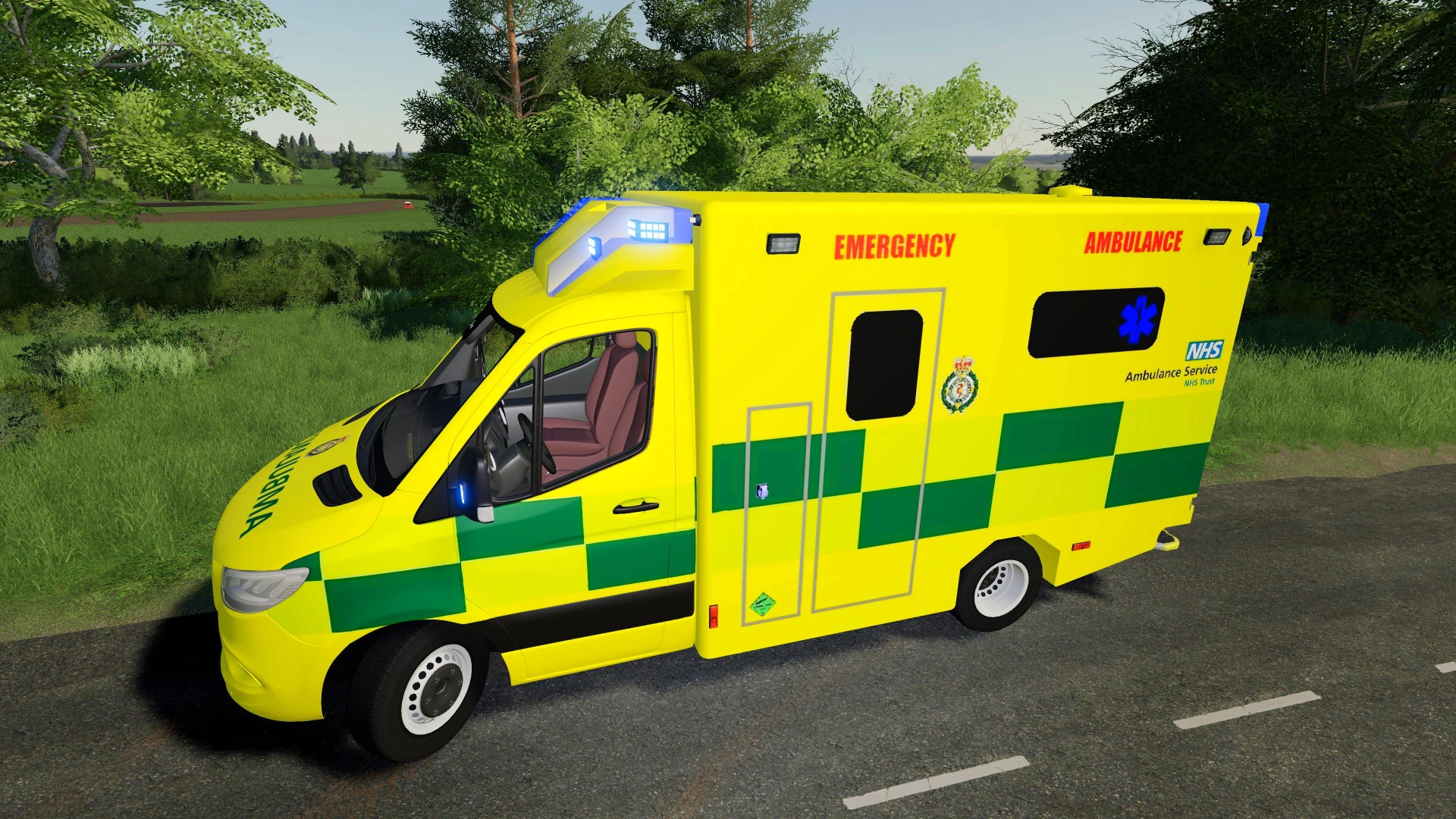 UK Real Ambulance Reskin v 1.0 - FS 19