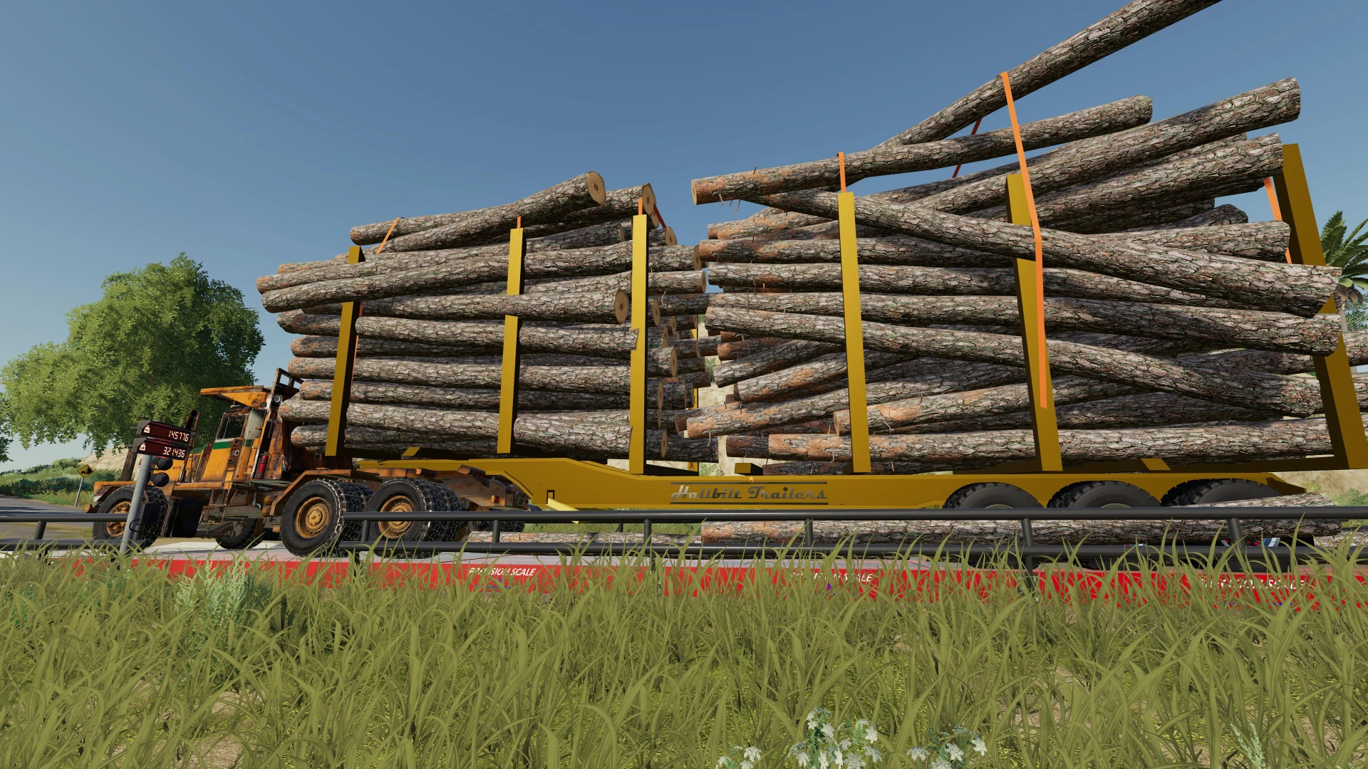 FS19 Pacific P16 v 0.5 - FS 19