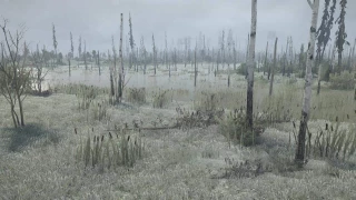 Bog map 11.04.21 - MudRunner