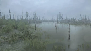 Bog map 11.04.21 - MudRunner