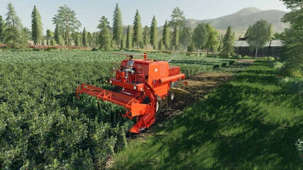 Rustic Acres Map v 1.1 - FS 19