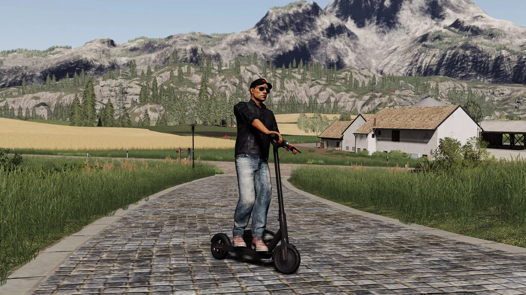Scooter v 1.1 - FS 19