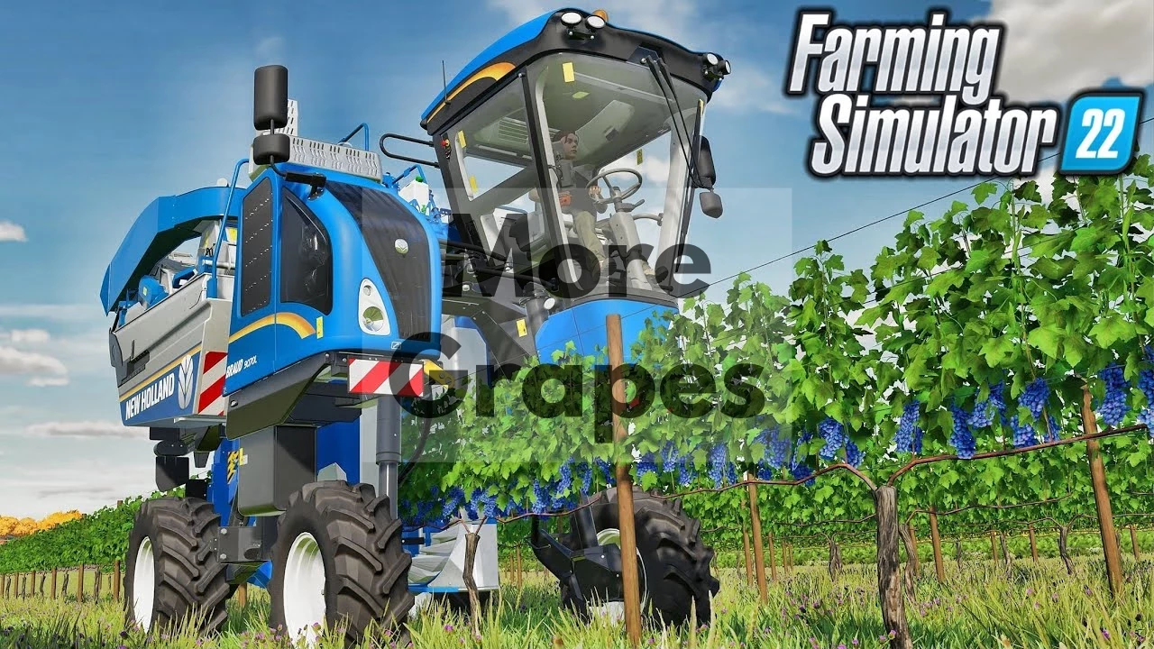More Grapes v 1.0 - FS 22