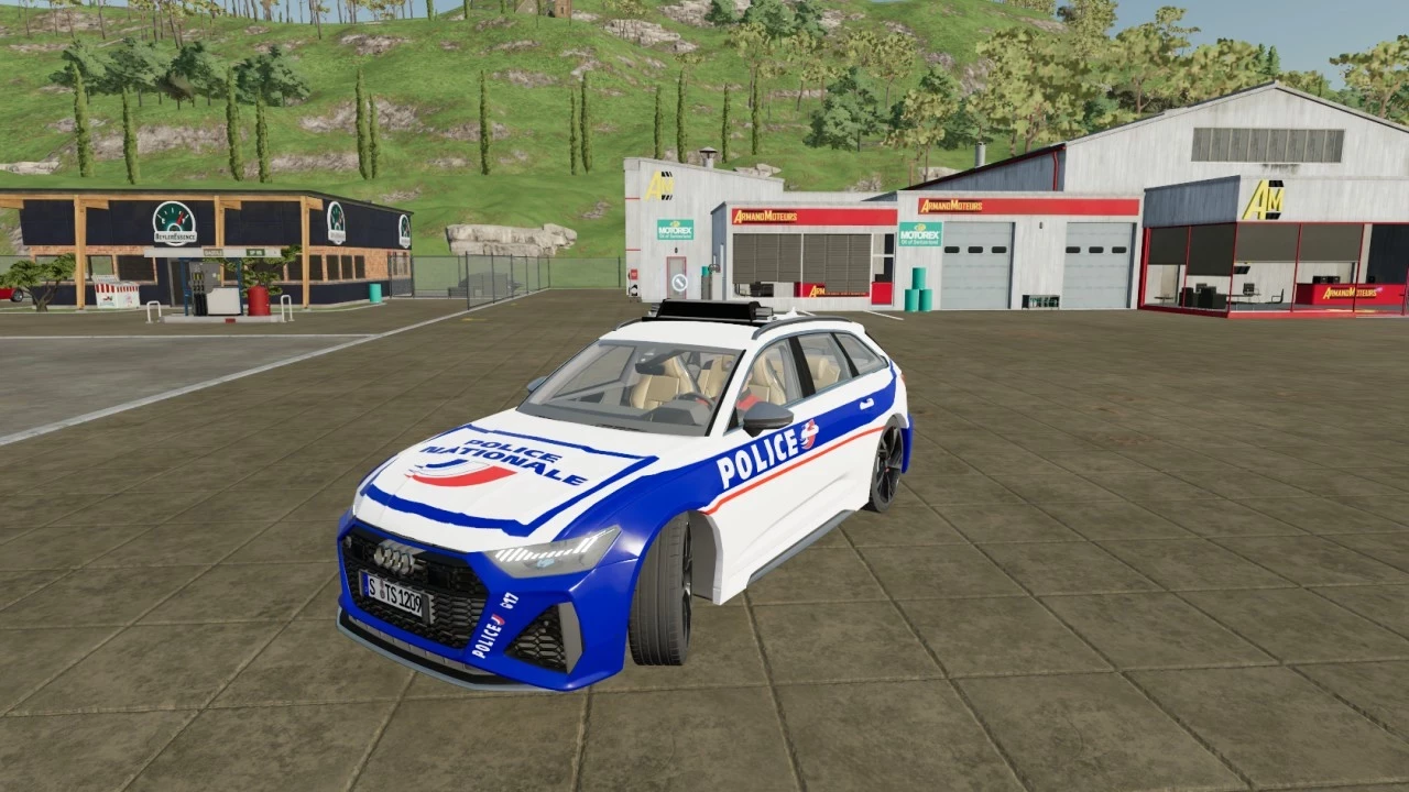 Audi RS6 Police v 1.1 - FS 22