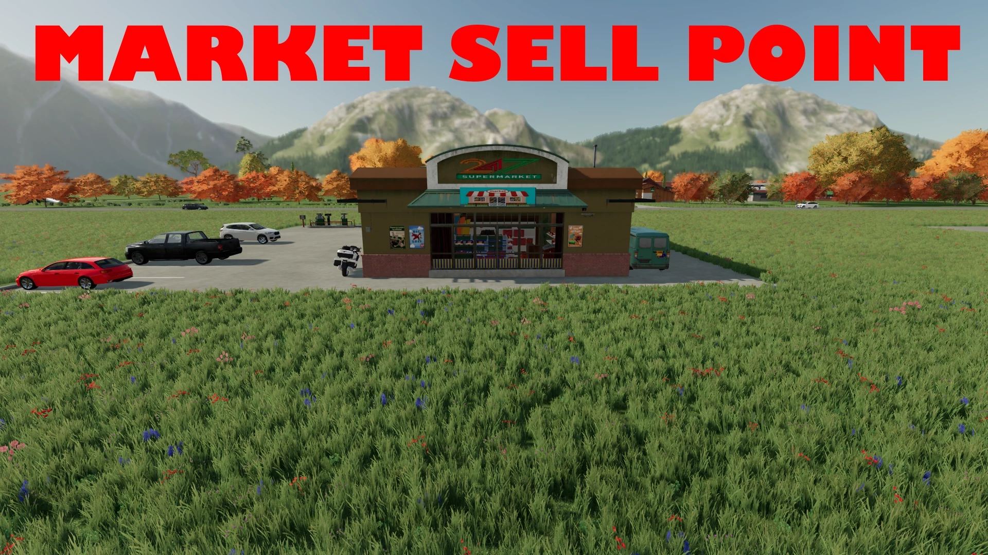 The Market - FS 19