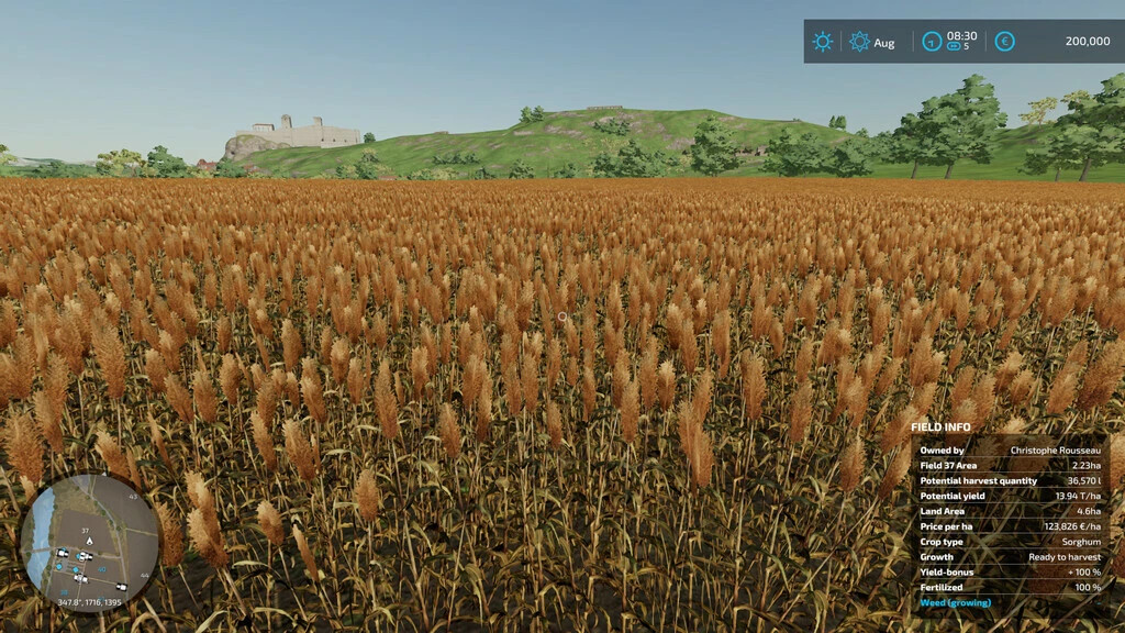 Additional Field Info v 1.0.2.1 - FS 22