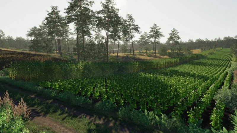 Dolina - FS 19 Search - ModLand.net