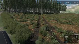 Holmåkra Forest Edition v 2.0 - FS 22
