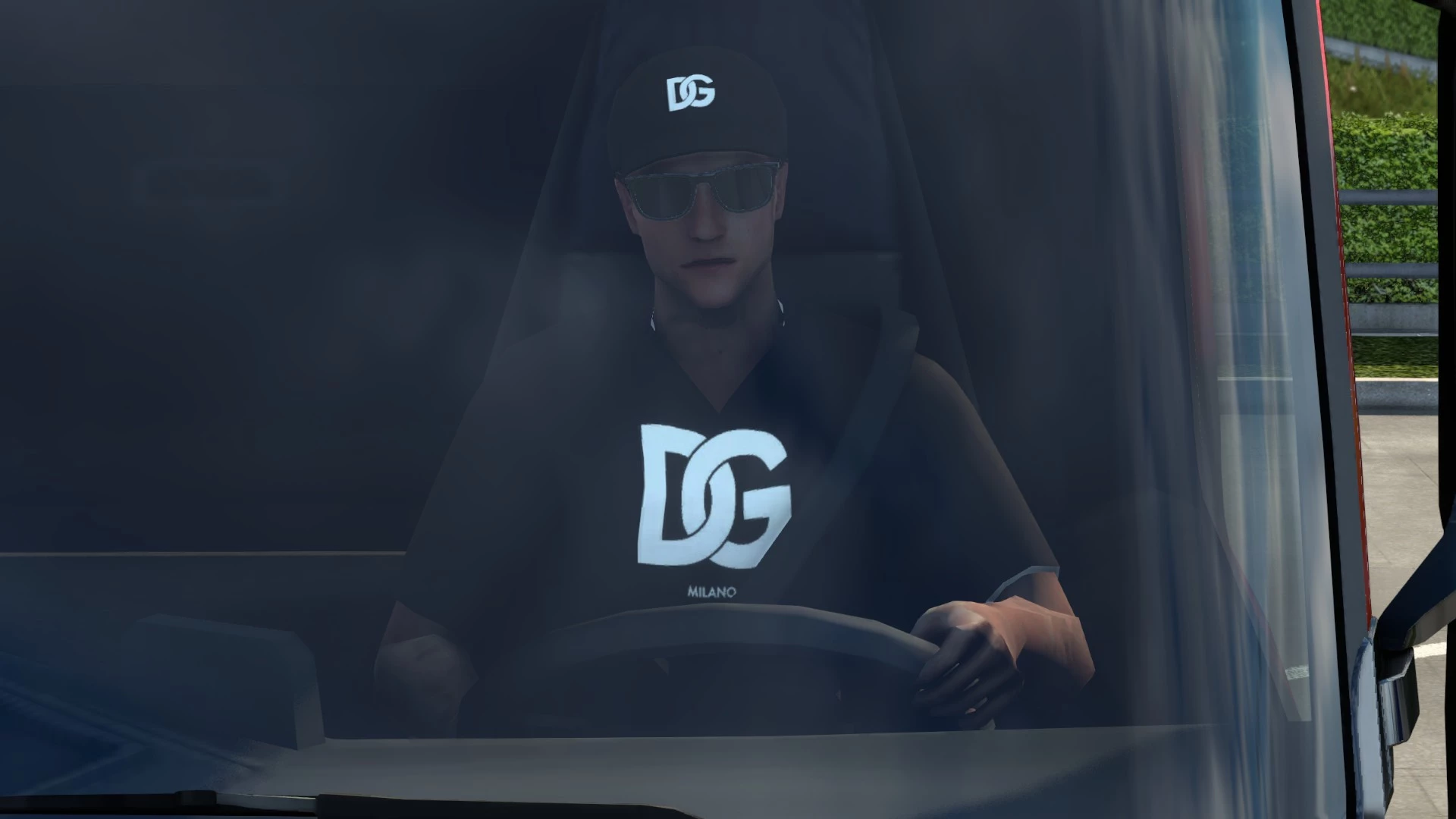 Dolce & Gabbana Driver Skin 1 - ETS 2