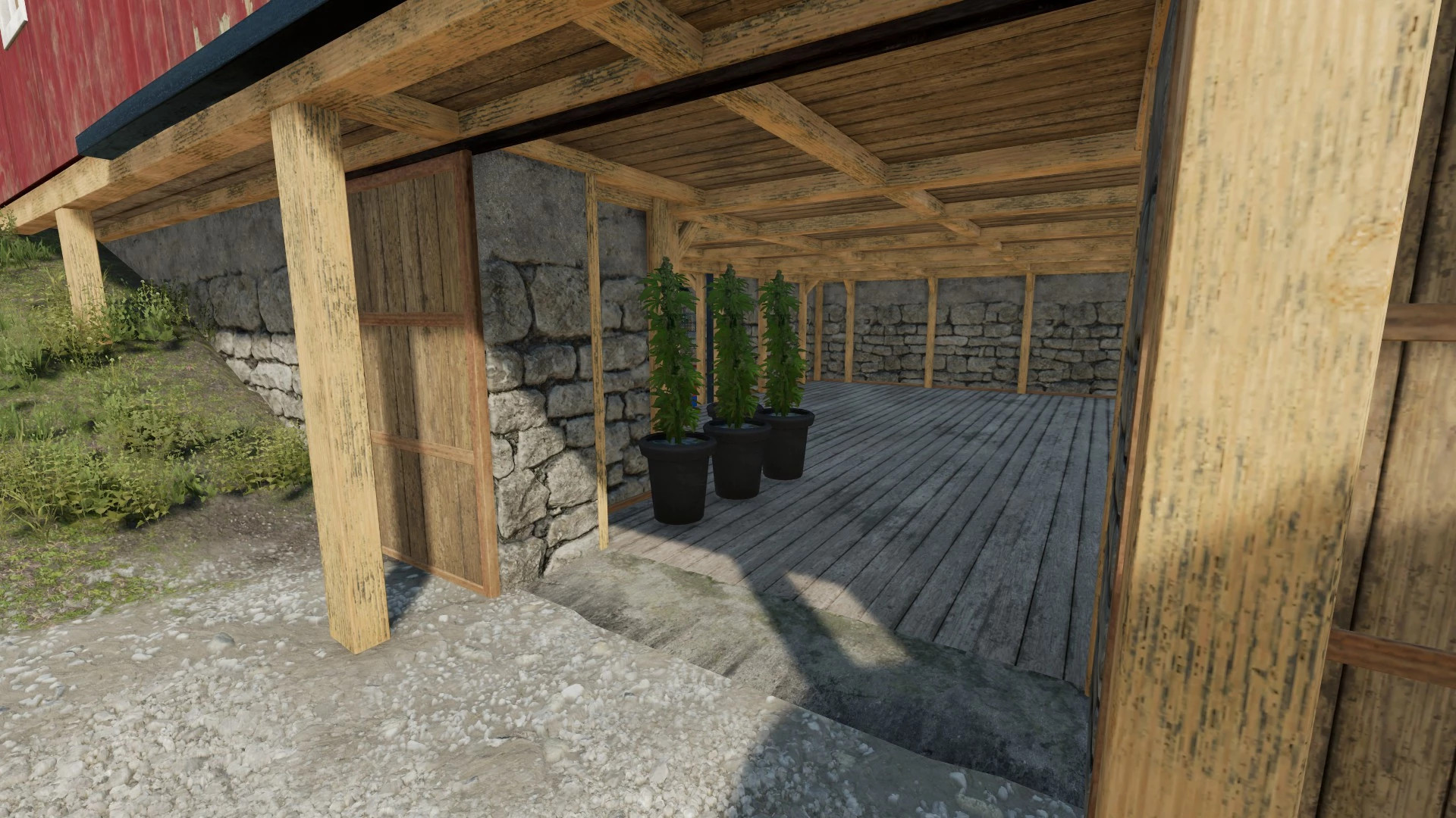 FS22 Cannabis Plants Pack v 1.0 - FS 22