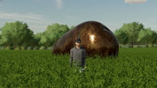 Potato v 1.0 - FS 22
