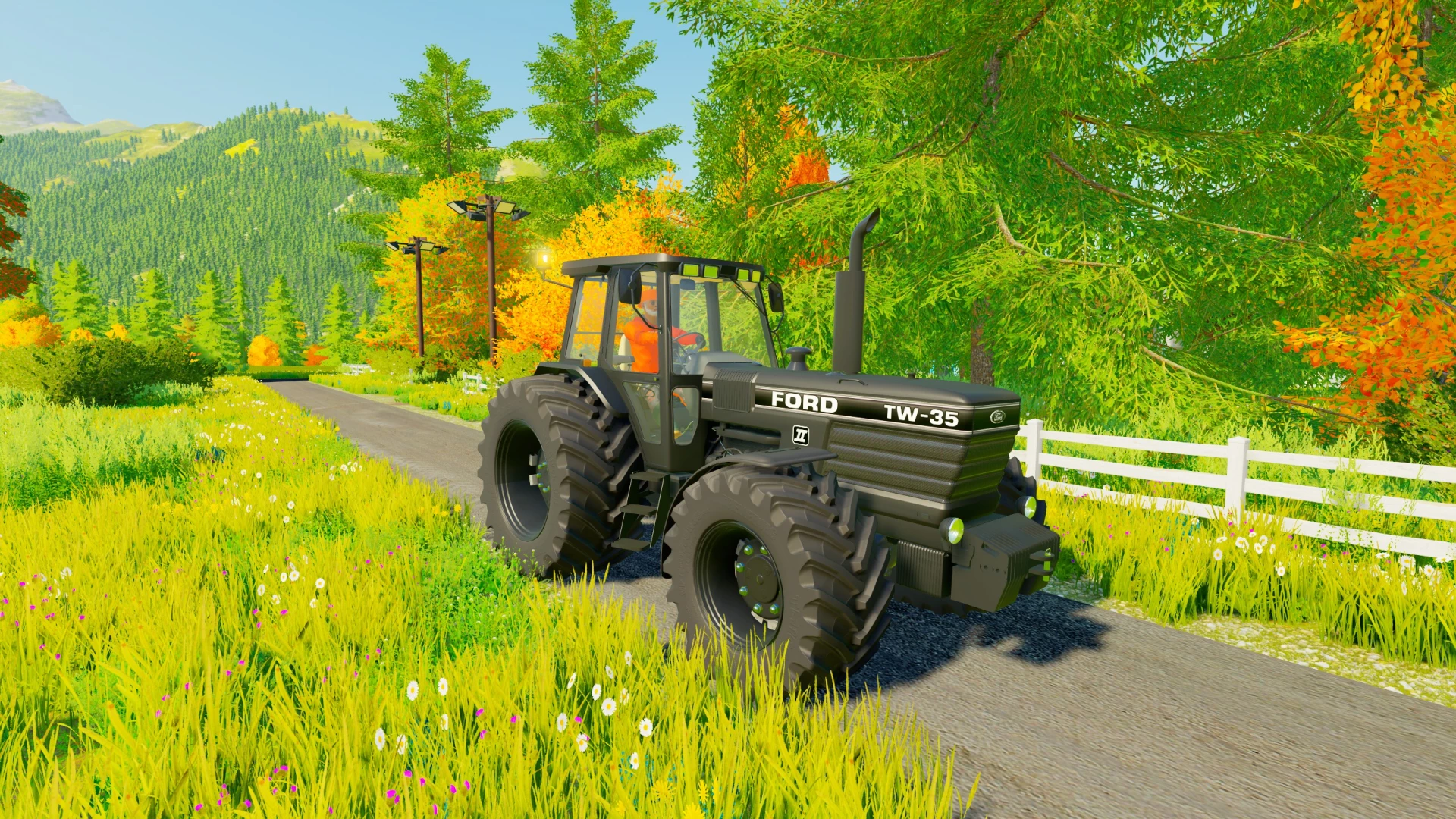 FORD - TW- 35 - TURBO 1.0.0.0 - FS 22