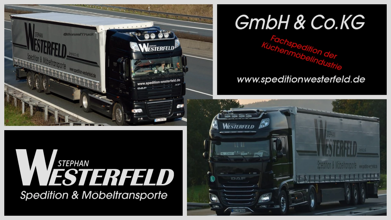 ERF - ETS 2 Search - ModLand.net