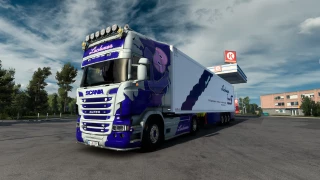 Lechner Trans Combo Skin Pack V1.0 - ETS 2