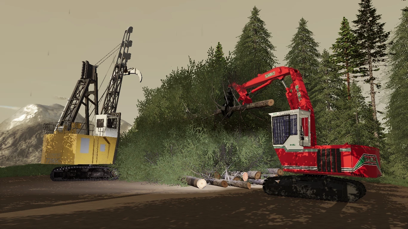 Madill 2850C Log Loader v 1.0 - FS 19