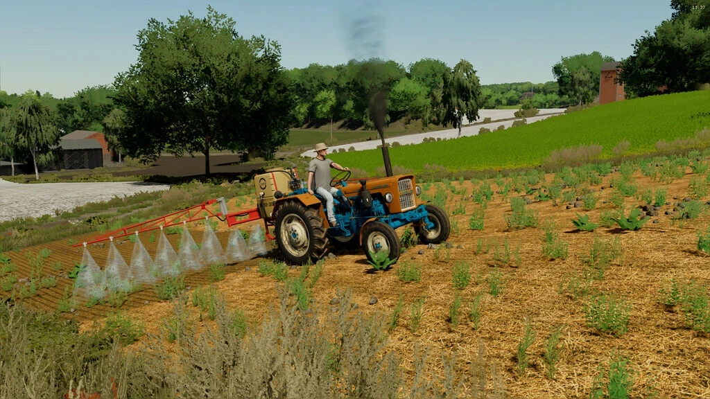 Lizard P-031 Termit 303 v 1.1 - FS 22