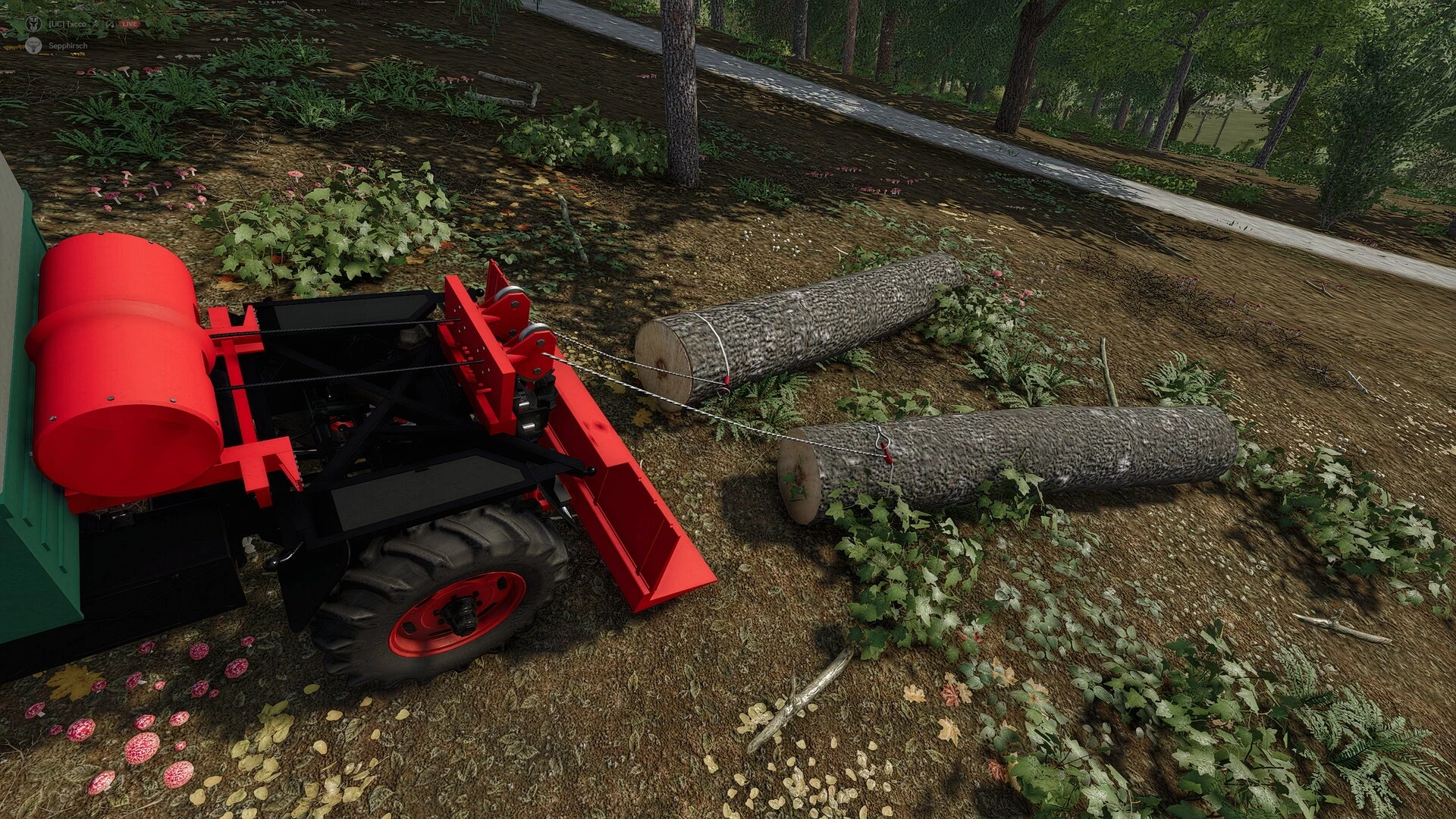 Forstseilwinde v 1.0 - FS 22