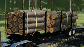 Lizard Plantation Trailer v 1.0.1 - FS 22