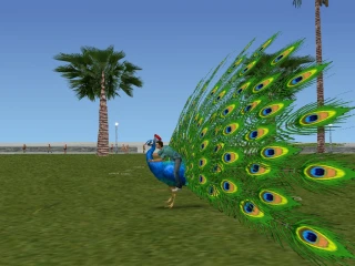 Birds Bikes Mod For GTA Vice City 2 - GTA: Vice City