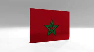 Flag Mod 1 - BeamNG.drive