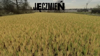 Stubble Texture (Wheat/Barley) v 1.0 - FS 22