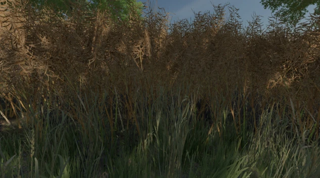 REALISTIC CANOLA GROWTH 1.0.0.0 - FS 22