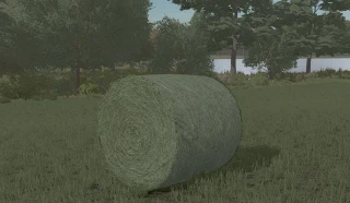 Bale Texture v 1.0 - FS 22