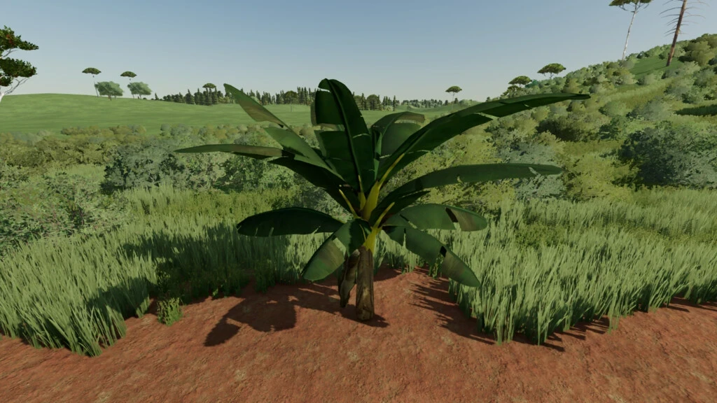 Banana Tree v 1.0 - FS 22