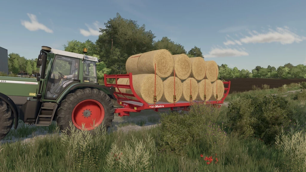 Maitre CPF 66 v 1.0.1 - FS 22