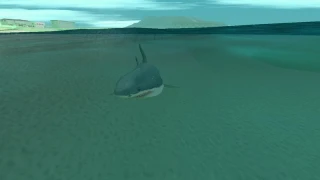 Shark Santa Maria - GTA: SA