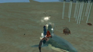 Shark Santa Maria - GTA: SA