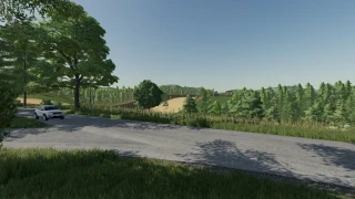 Delusion Map v 1.0 - FS 22